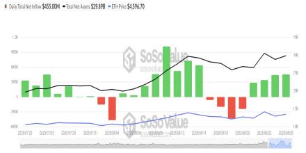 Ethereum обгоняет биткоин благодаря притокам в ETF и бычьим ставкам