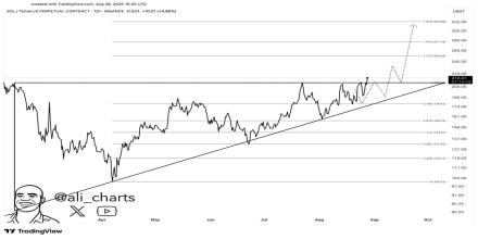 Solana Price Surge: US Pilot and Institutional Support