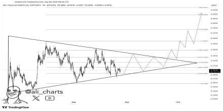 SEI-ETF mit Staking? 21Shares sorgt für Aufsehen