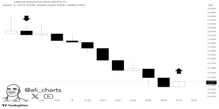 DOGE Quo Vadis: ETF Nears and Whales Trade Aggressively