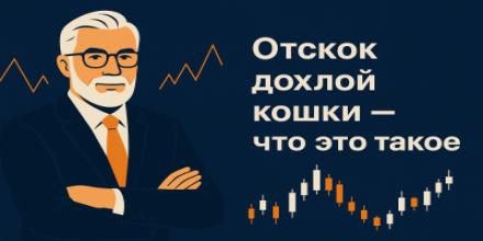 Отскок дохлой кошки – что это такое в трейдинге?