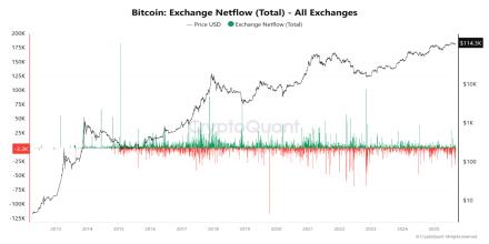 シャーク買いでビットコイン上昇か|2週で11万5000ドル突破