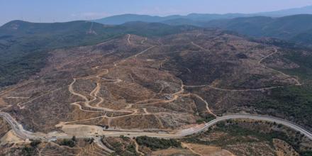 Hakan Çalhanoğlu ve My Lovely Planet’ten “Çalhanoğlu Ormanı” projesi