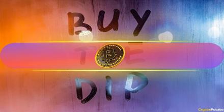BTC Price Slide Triggers Buy-the-Dip Mania but Experts Warn of Deeper Lows