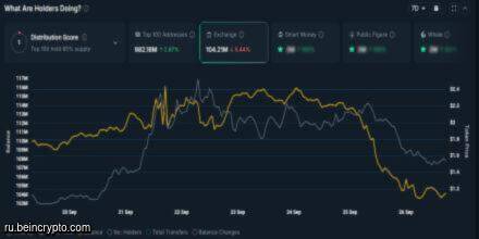 Три новых альткоина, которые трейдеры выбирают во время коррекции рынка