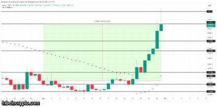 Ekim 2025’te Takip Edilecek 3 Meme Coin
