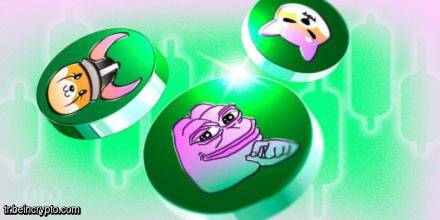 Meme Coin’lerden Kim Kar Ediyor? Galaxy: Trader’lar Değil
