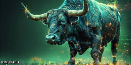 5 Best Altcoins to Invest in Before the Next Bull Run