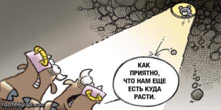 Сильное падение альткоинов обычно предшествует альтсезону. Повторится ли история?
