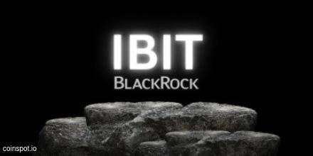 IBIT от BlackRock лидирует по притоку средств, пока другие ETF теряют капитал