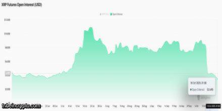 XRP Balina Sayısı Piyasa Çalkantısında Tüm Zamanların En Yüksek Seviyesinde