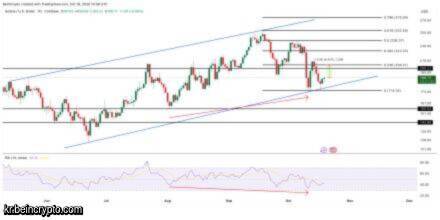 10월 말 주목할 미국산 코인 3개