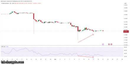 Pi Coin Fiyatı Boğalar ve Ayılar Arasında: Bir Taraf Üstünlük Sağlıyor