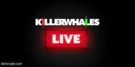HELLO Labs Launches ‘Killer Whales: Live’ and Opens Submissions for Crypto Projects to Pitch for a TV Spot