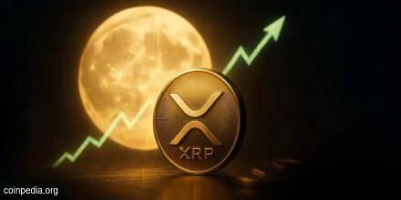 Crypto Trader James Wynn Bets $25K on XRP, Seeks Community Advice