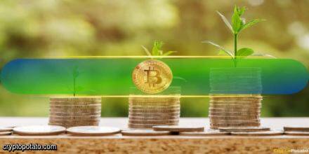Bitcoin Accumulation Patterns Show Late-Stage Cycle Maturity, Not Definite End: CryptoQuant