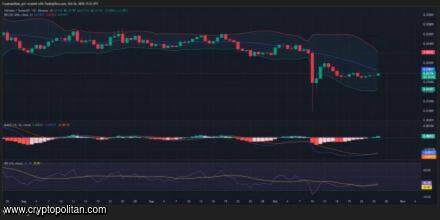 VeChain price prediction 2025-2031: What’s the growth potential of VET?