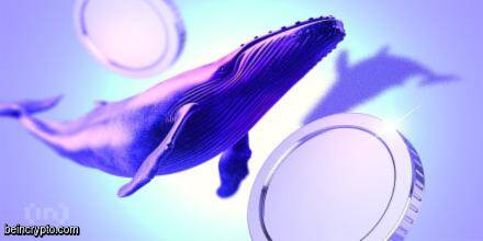 Are Crypto Whales Betting on More Upside or Preparing for a Pullback This Week?