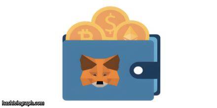 Один аккаунт MetaMask теперь поддерживает все блокчейны