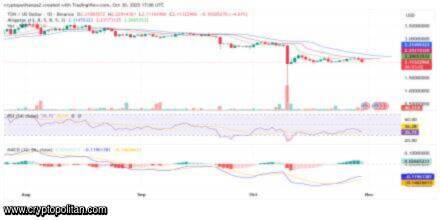 TON price prediction 2025-2031: Will TON reach $100?