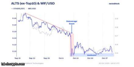 Altcoin sezonu Kasımda mümkün mü? Analistler açıklıyor