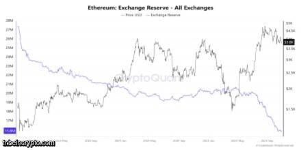 3 altcoin rekor kıtlıkta: kripto para borsası arzı yılların dibinde