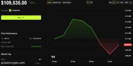 Wszyscy w krypto mają doła: Tak wygląda zwycięstwo – CEO Bitwise