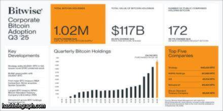 Корпоративные биткоин-резервы ускорили обвал рынка, считает профессор бизнес-школы