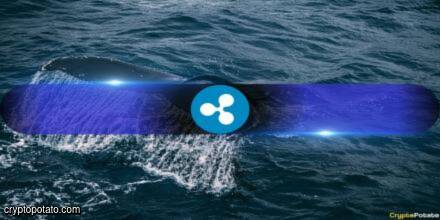 XRP Price Stalls Despite Bullish Fundamentals as Whales Keep Selling