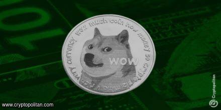 Bitwise files Form 8-A for its upcoming spot Dogecoin ETF