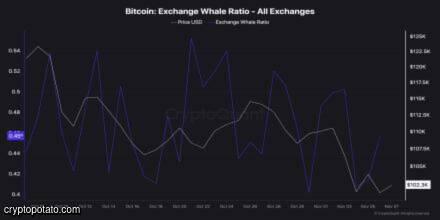 10,000 BTC Bought by Whales Overnight: What Does it Mean for Bitcoin’s Price?