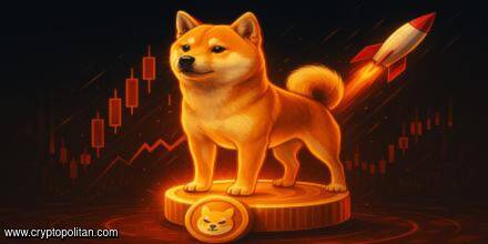 Dogecoin Price Prediction: Is Elon Musk Really Going To Send DOGE To The Moon?