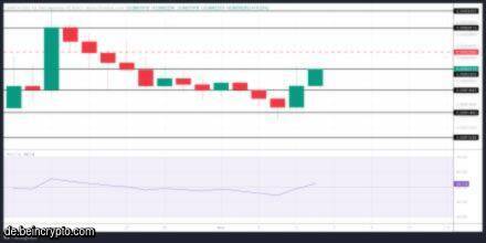 Memecoins vor Weihnachten im Check: Boom oder Bluff?