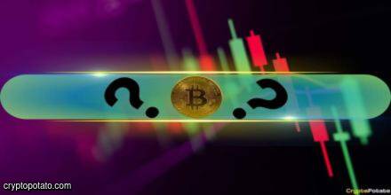 Double-Digit Gains From These Altcoins as Bitcoin Reclaims $106K: Market Watch