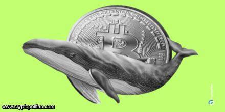 Bitcoin whales’ sell-off now tightly aligned with price drops