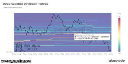 Which Crypto To Buy Now As Dogecoin (DOGE) and Mutuum Finance Fight for Supremacy