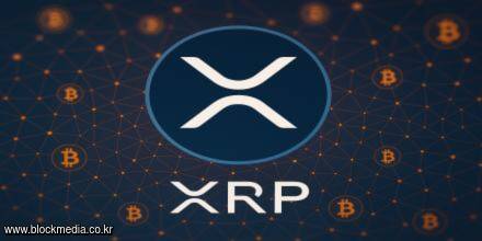 XRP 보유자, 실제론 100만명도 안된다? 실보유자 논란 재점화