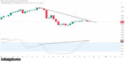 Bitcoin Slides Toward $95,000, Long-Term Metrics Say ‘Undervalued’