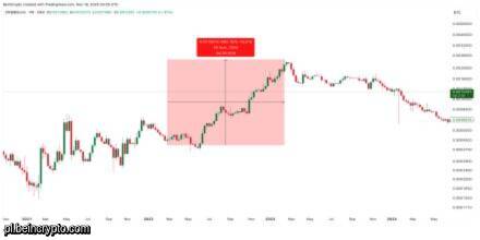 Wyjątkowe altcoiny, które mogą zignorować rynek niedźwiedzia