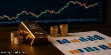 As Gold Continues to Surge, CAT DEFI Is Becoming a New Global Focus for Investors Seeking Stable Returns