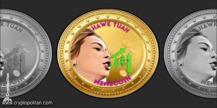 Hawk Tuah girl dragged into Solana memecoin lawsuit