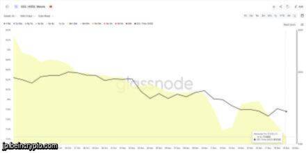 長期保有者がソラナ価格反転に懐疑的な理由