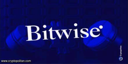 Bitwise execs remain bullish on BTC and the crypto markets despite recent volatility