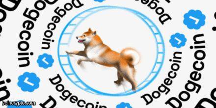Dogecoin Is Overvalued, But Monday Could Flip the Script