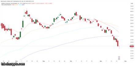 Tom Lee’nin Tahmini BMNR Fiyatını Yükseltiyor: Toparlanma Önemli Bir Testle Karşı Karşıya