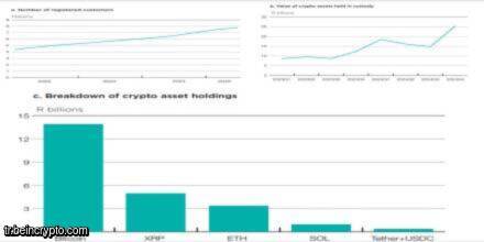 Güney Afrika, Standard Chartered’ın Stablecoin Uyarısını Onayladı