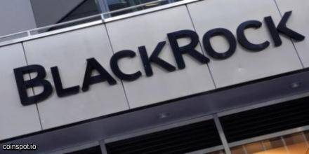 Инвесторы BlackRock выходят в плюс после возврата биткоина к $90 000