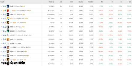 [DEX 리포트] 거래량 174억 달러…machi mode 521%·NYAN 2403% 급등