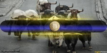 Crypto Sentiment Flips Bullish as XWIN Trend Index Climbs to 72