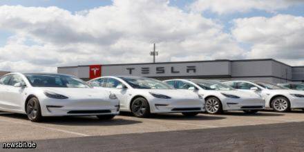 Tesla will selbstfahrende Autos in Europa: Niederlande müssen Genehmigung erteilen